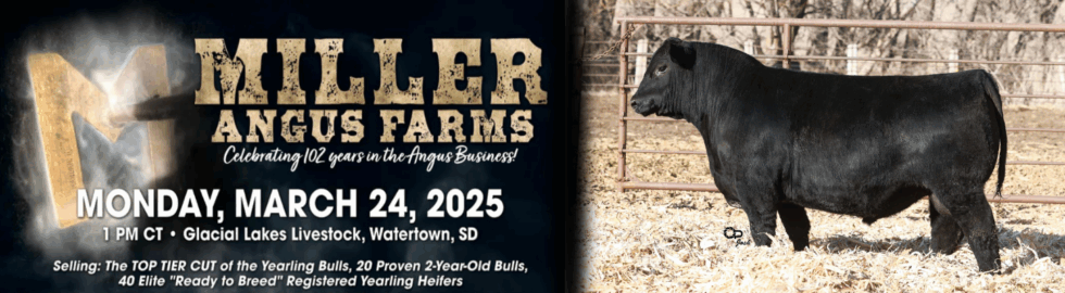 Miller Angus Farms Bull & Heifer Sale • Ranch Channel