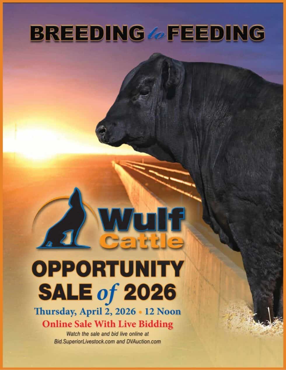 Sale Reports & Results: Bull & Production Sales • Ranch Channel
