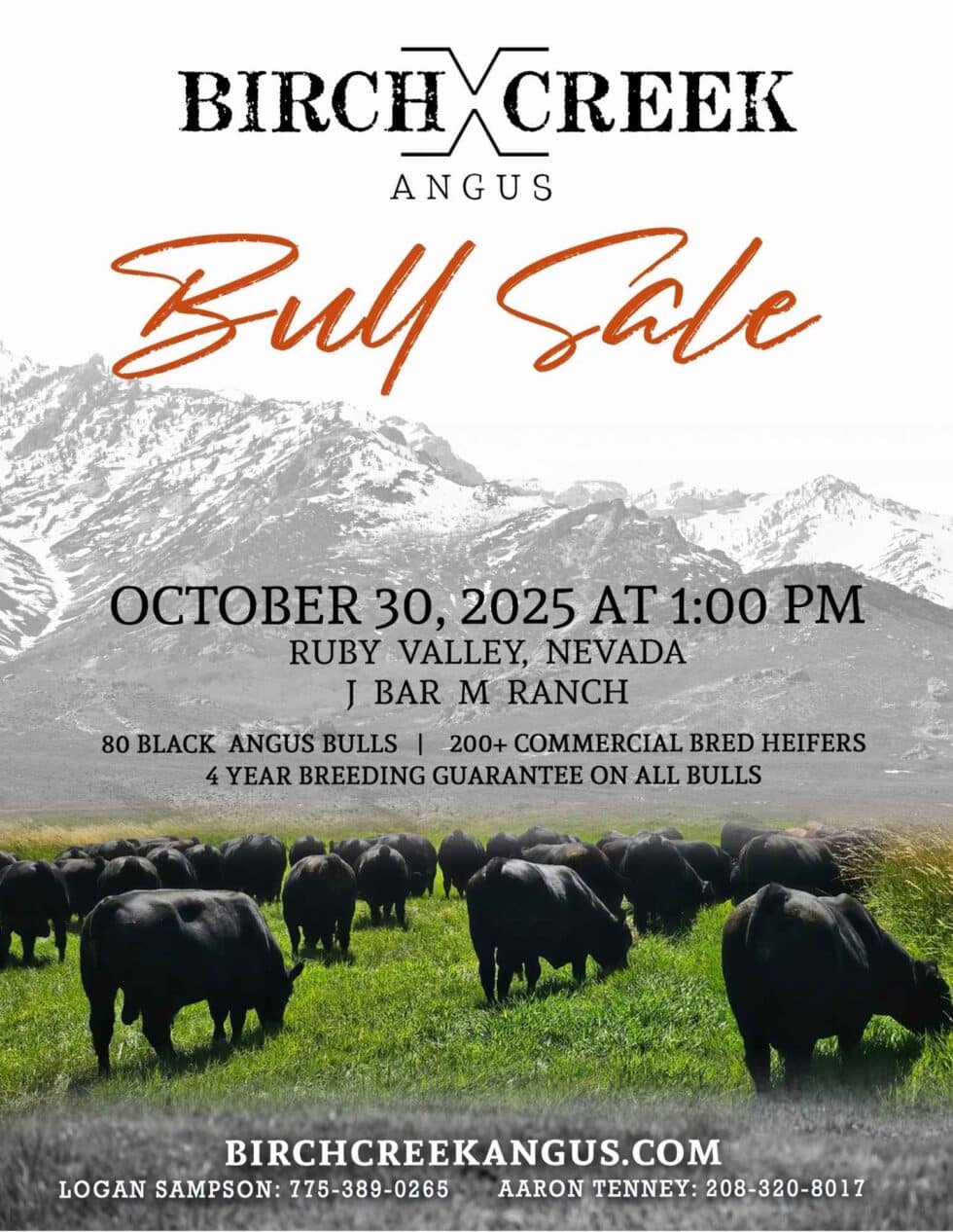 Sale Reports & Results: Bull & Production Sales • Ranch Channel