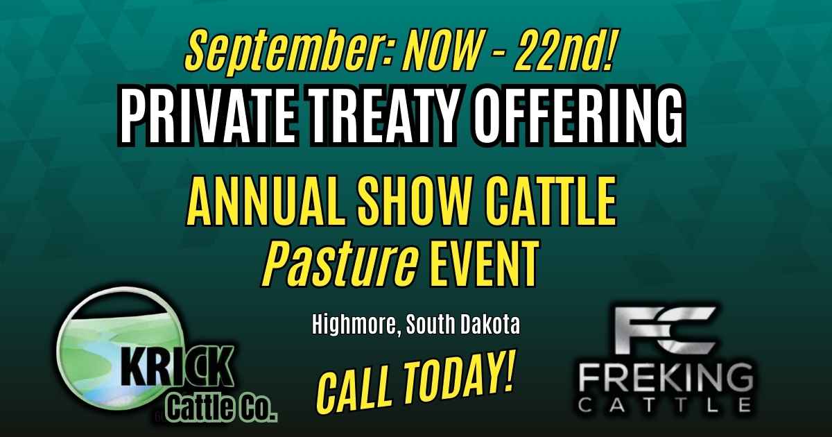 Krick Cattle Co. & Freking Cattle: Show Steers & Heifers Sale • Ranch ...