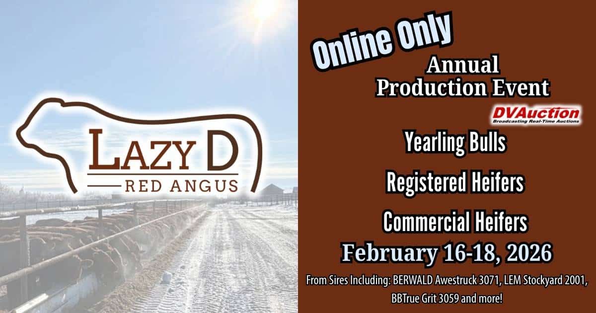 Lazy D Red Angus Bull & Heifer Sale • Ranch Channel