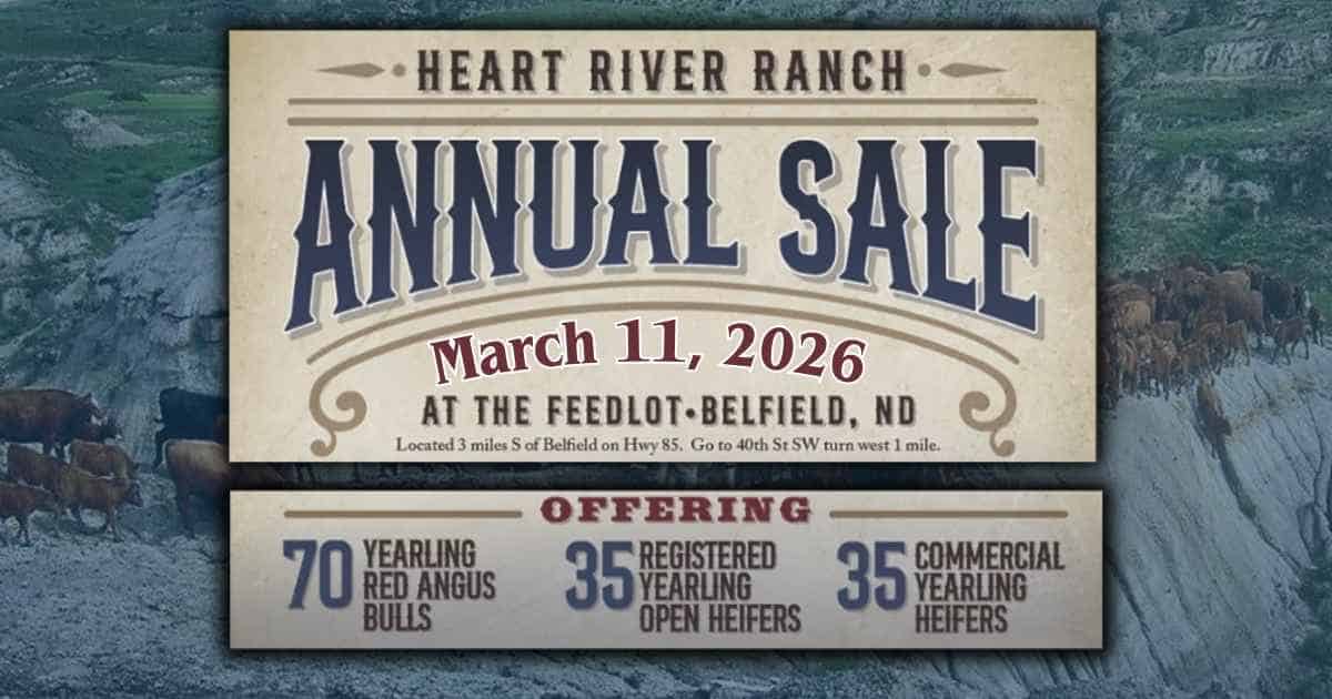 Heart River Ranch: Red Angus Bull & Heifer Sale • Ranch Channel